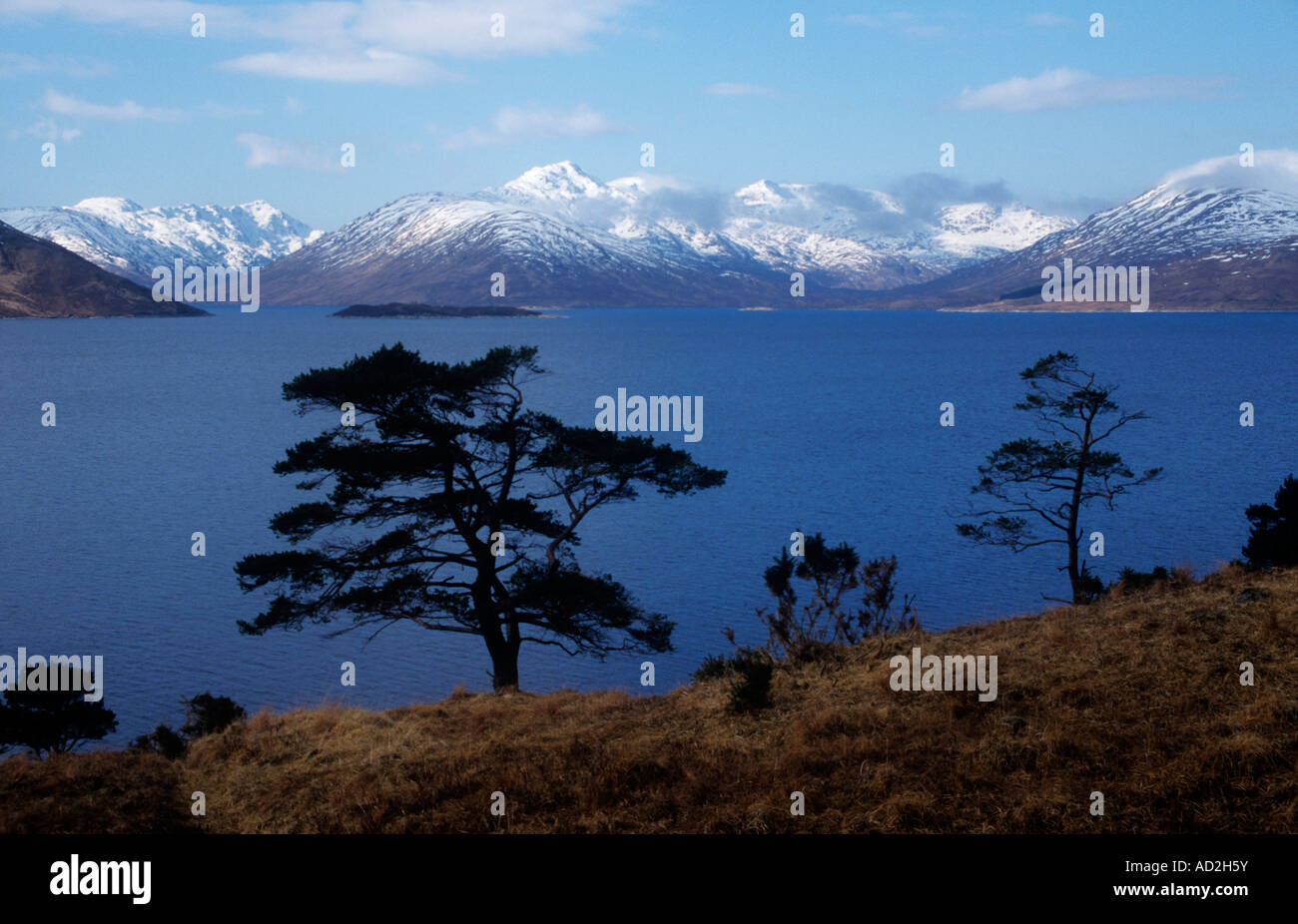 Cairngorms and Loch, Highland, Scotland, UK Stock Photo - Alamy