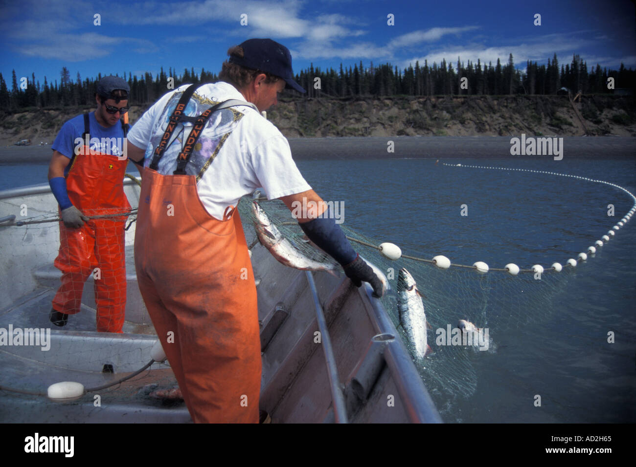 set net fishing for Kenai River sockeye salmon Oncorhynchus nerka ...