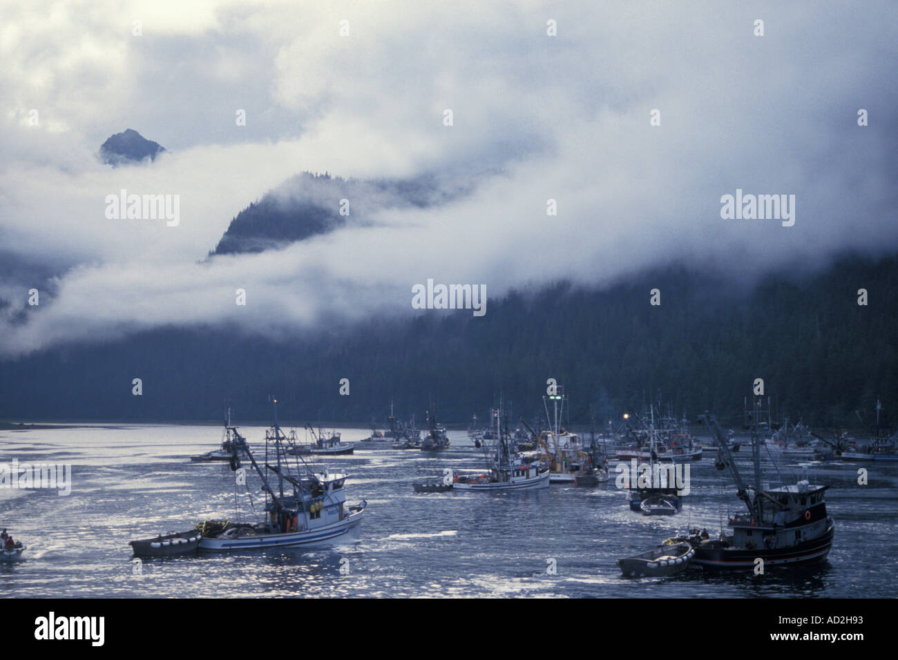 Salmon tenders hi-res stock photography and images - Alamy