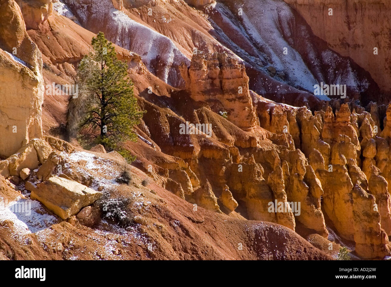 A picture illustrating some of the many of the features of Bryce Canyon ...