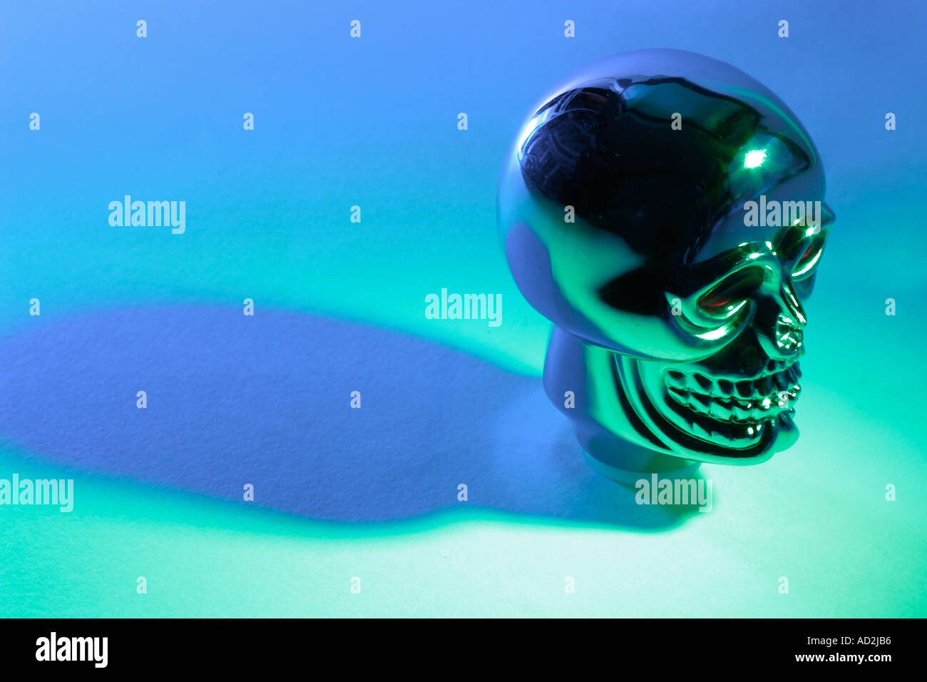 Fossil human skeleton hi-res stock photography and images - Alamy