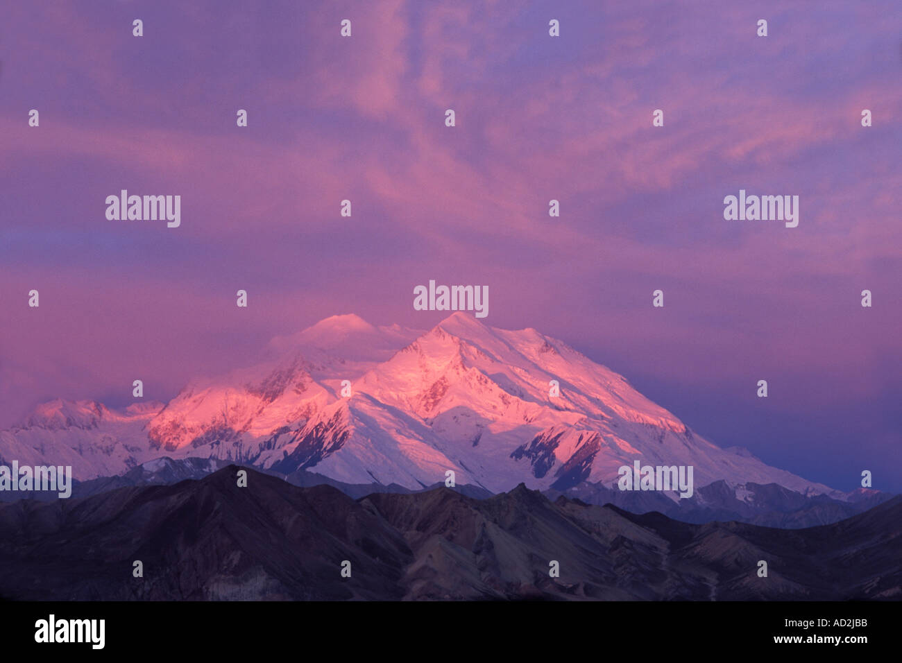 sunrise at Mt Denali or Mt McKinley tallest mountain in Denali National ...