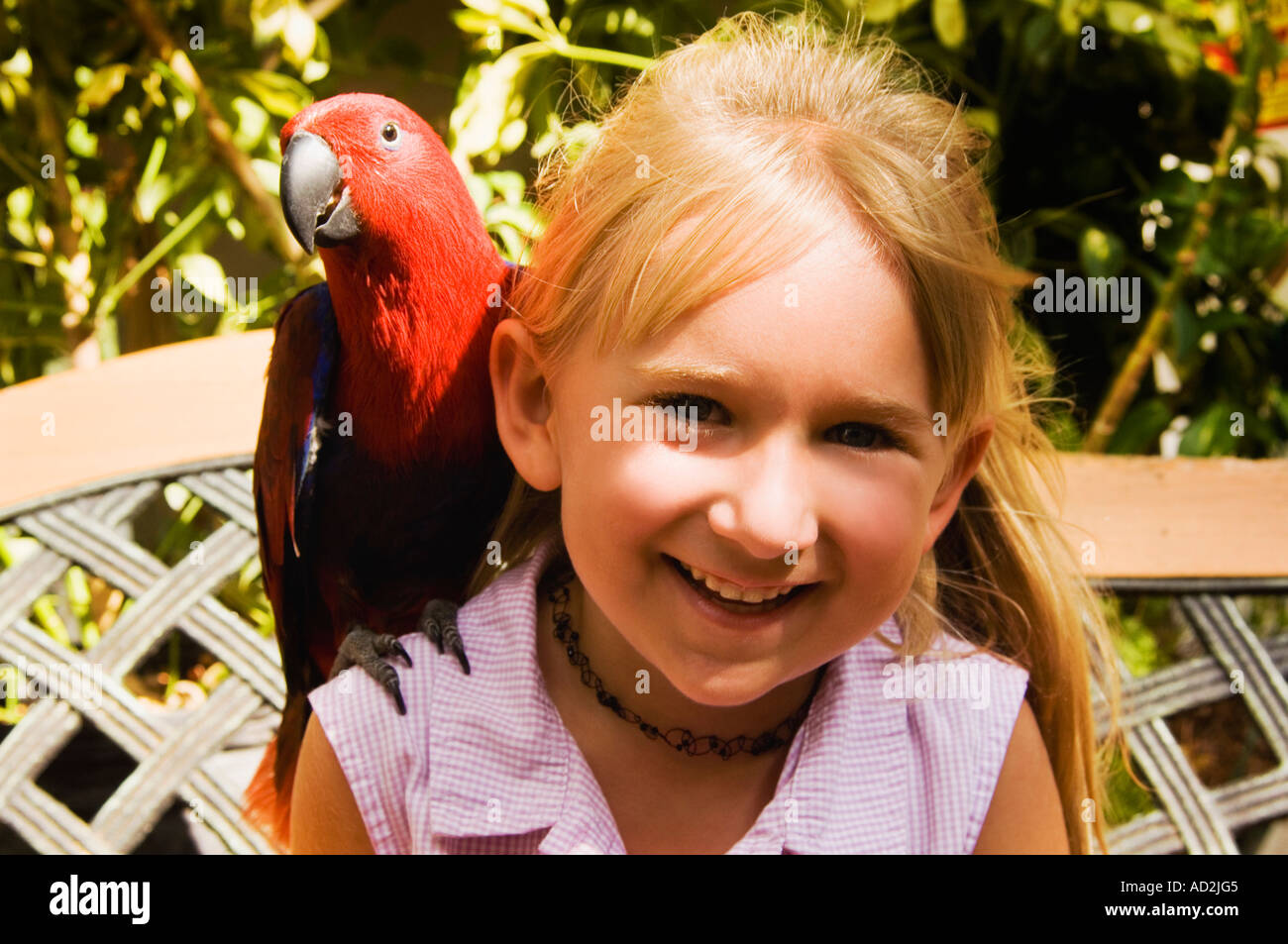 Girl holding parrot hi-res stock photography and images - Alamy