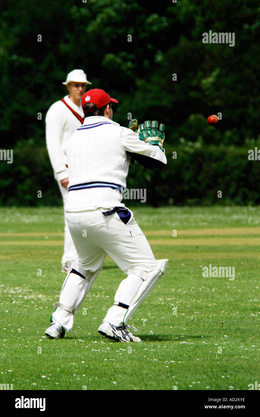 Playing the game of Cricket on a Summer's Afternoon in rural England ...
