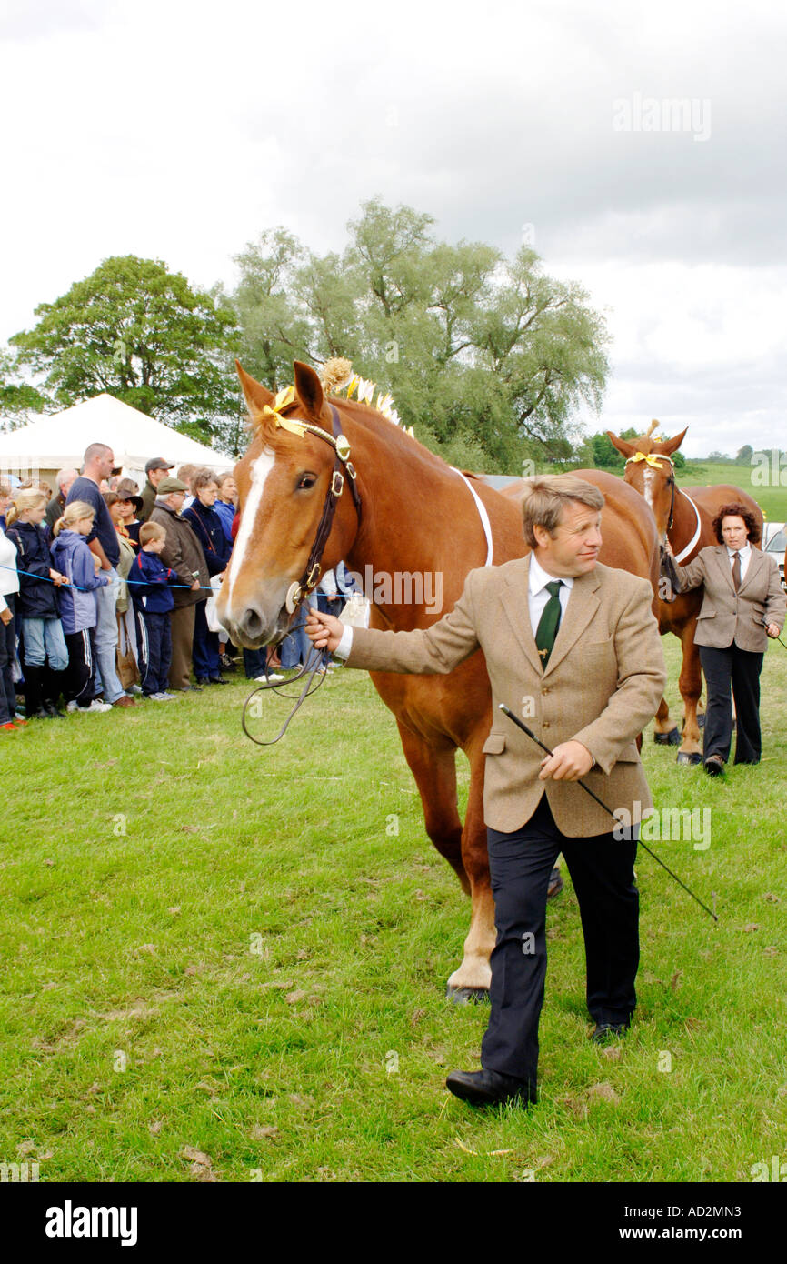 Parade of horses at a county show Stock Photo - Alamy