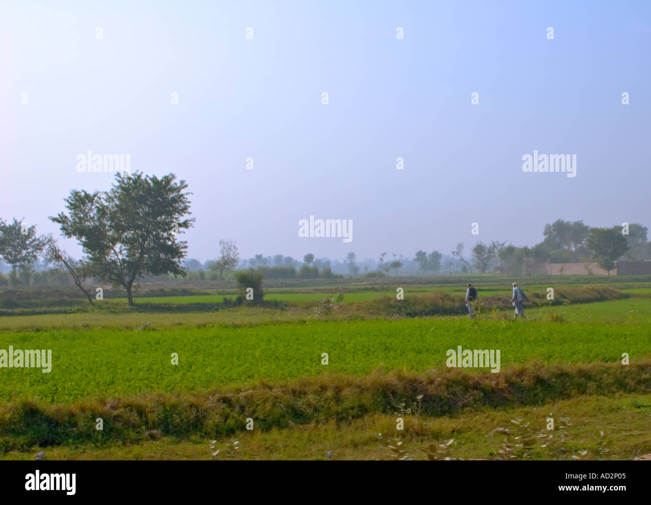 3rd world farmer hi-res stock photography and images - Alamy