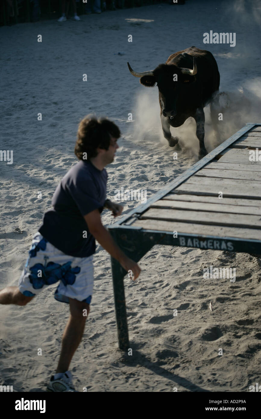 Man running from bull Moraira Spain Stock Photo - Alamy