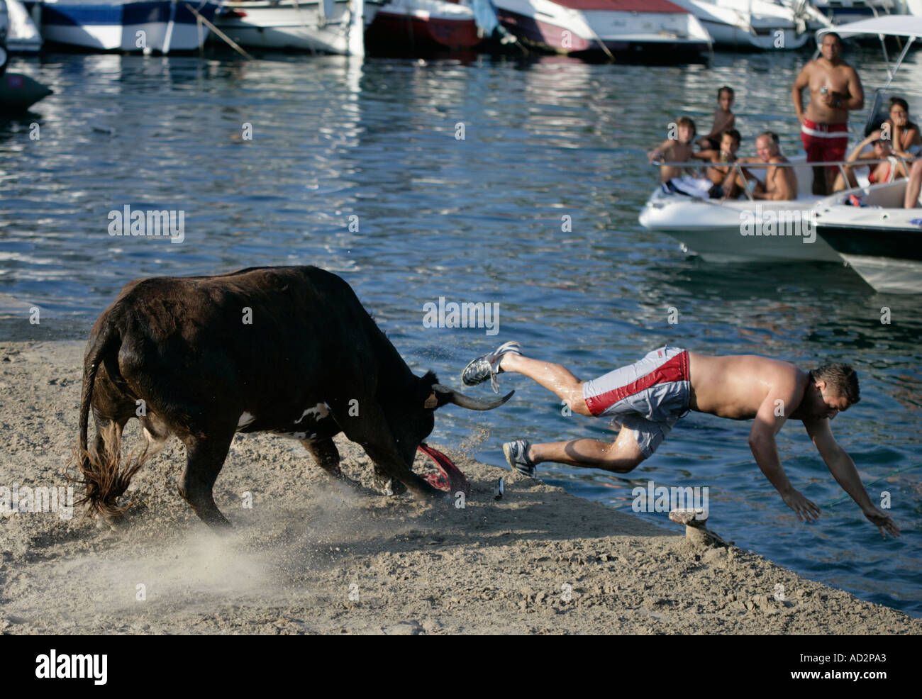 Leaping from the path of a charging bull Moraira Spain Stock Photo - Alamy