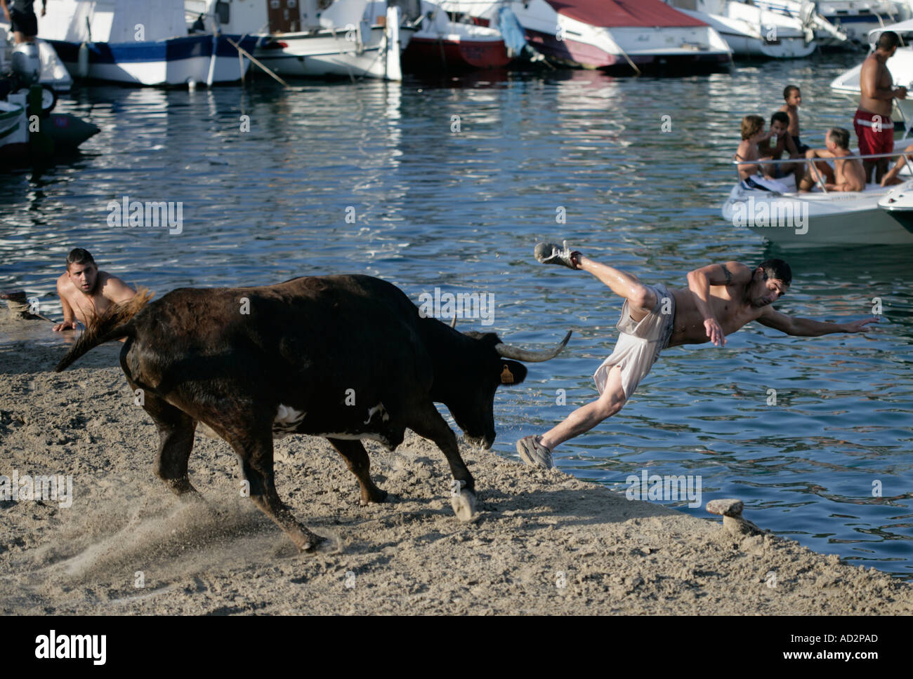 Leaping from the path of a charging bull Moraira Spain Stock Photo - Alamy