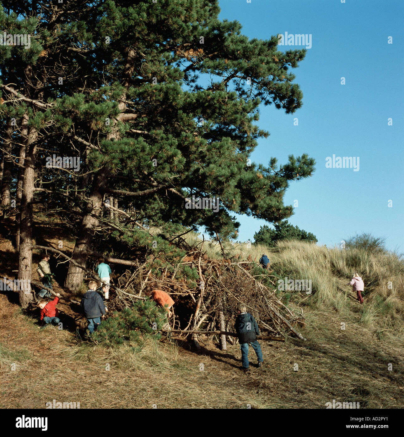 Children making a hut in the dunes of Terschelling, one of the Wadden ...