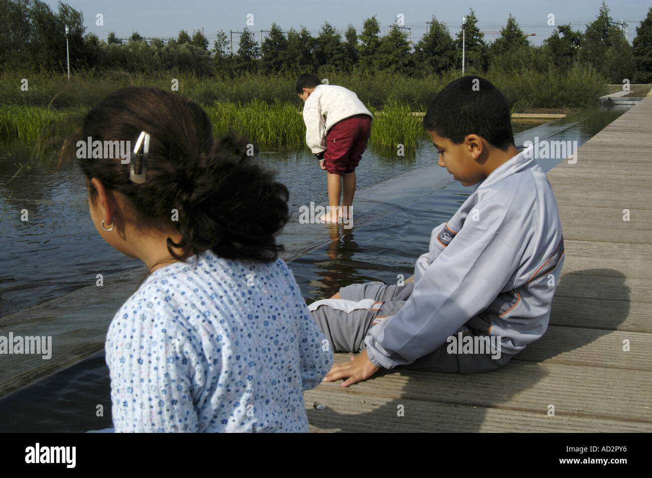 Children playing in the Westerpark, one of the city parks of Amsterdam ...