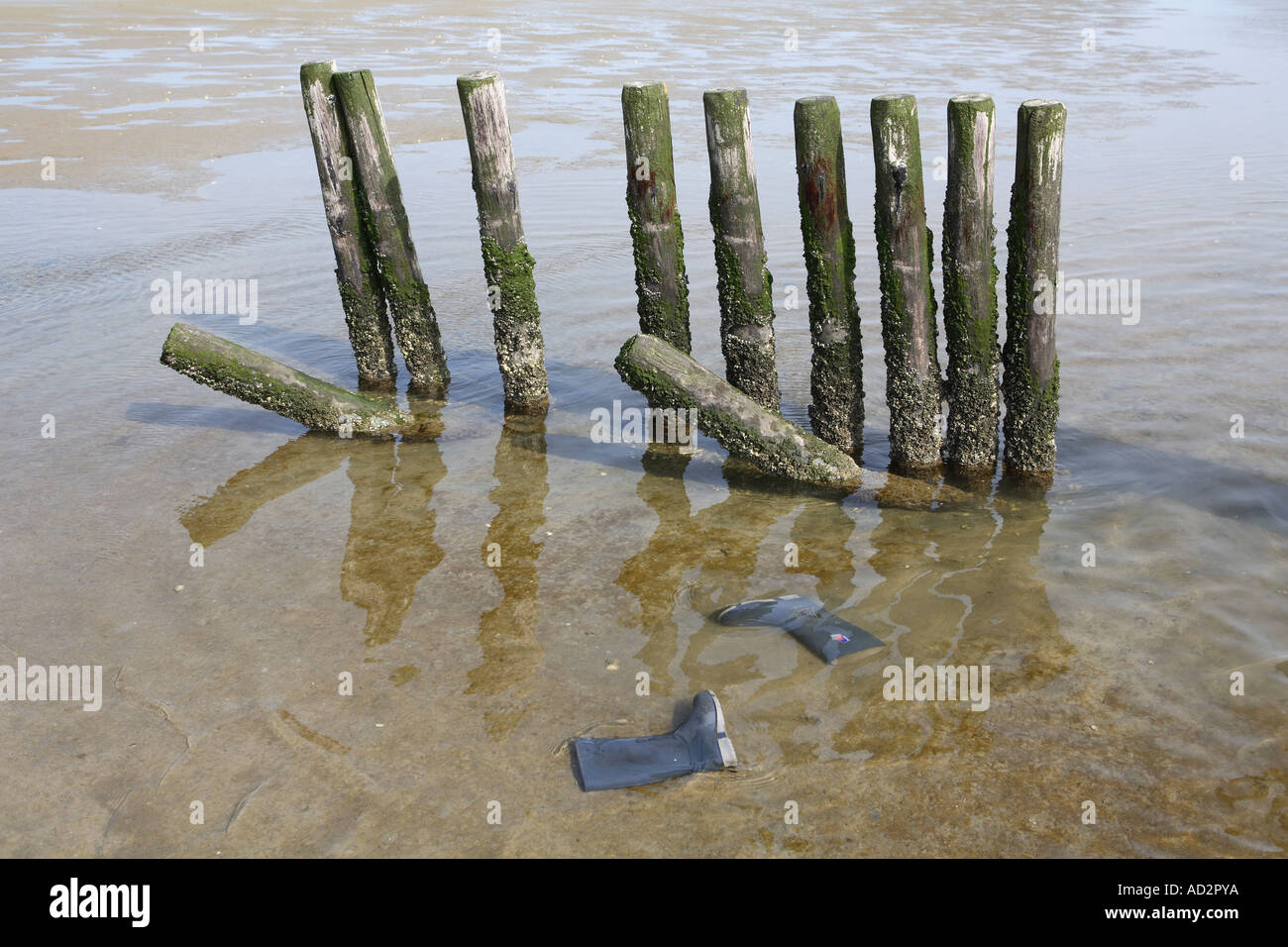 Rubber boots in sea water Stock Photo - Alamy