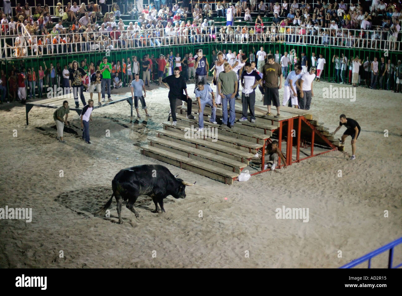 Stand off with a bull Moraira Spain Stock Photo - Alamy