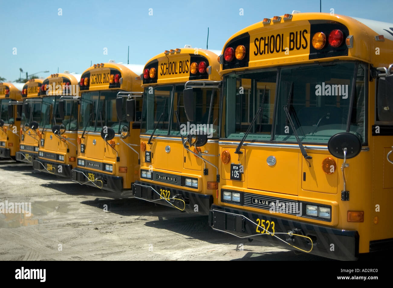 School Buses At Beach High Resolution Stock Photography and Images - Alamy