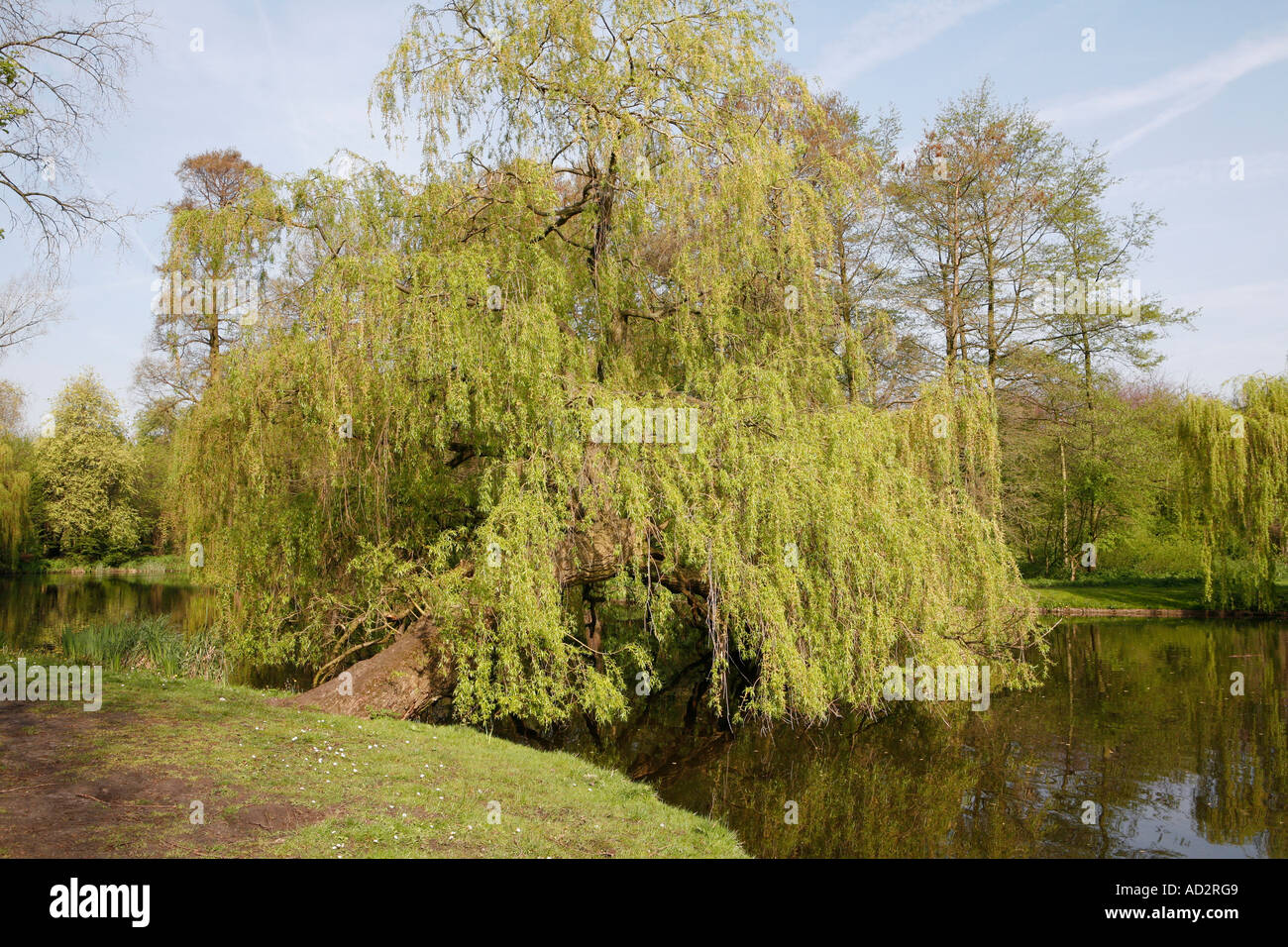Vondelpark park amsterdam spring hi-res stock photography and images ...