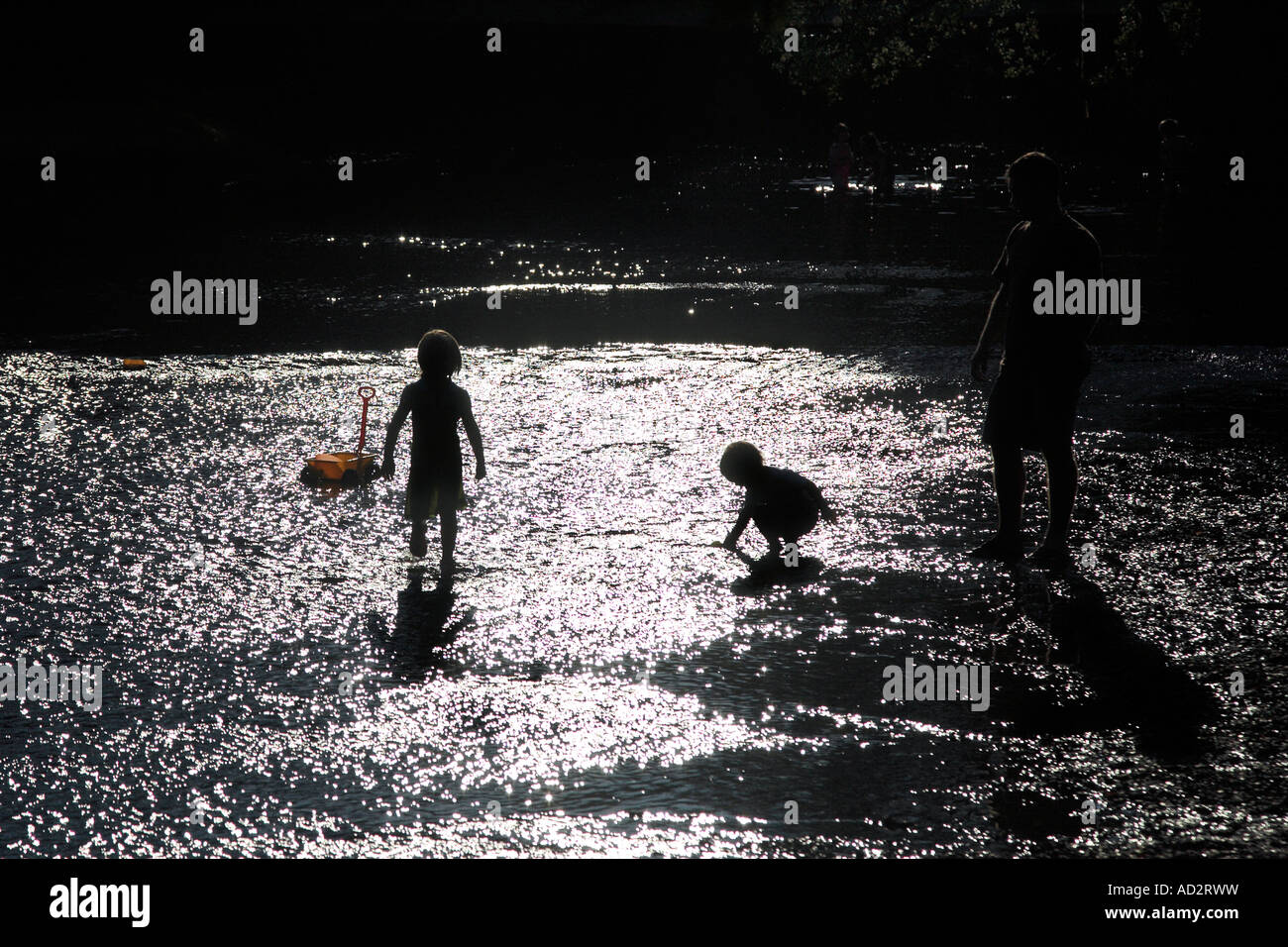 children play in silhouette in a stream in the New Forest, Hampshire ...