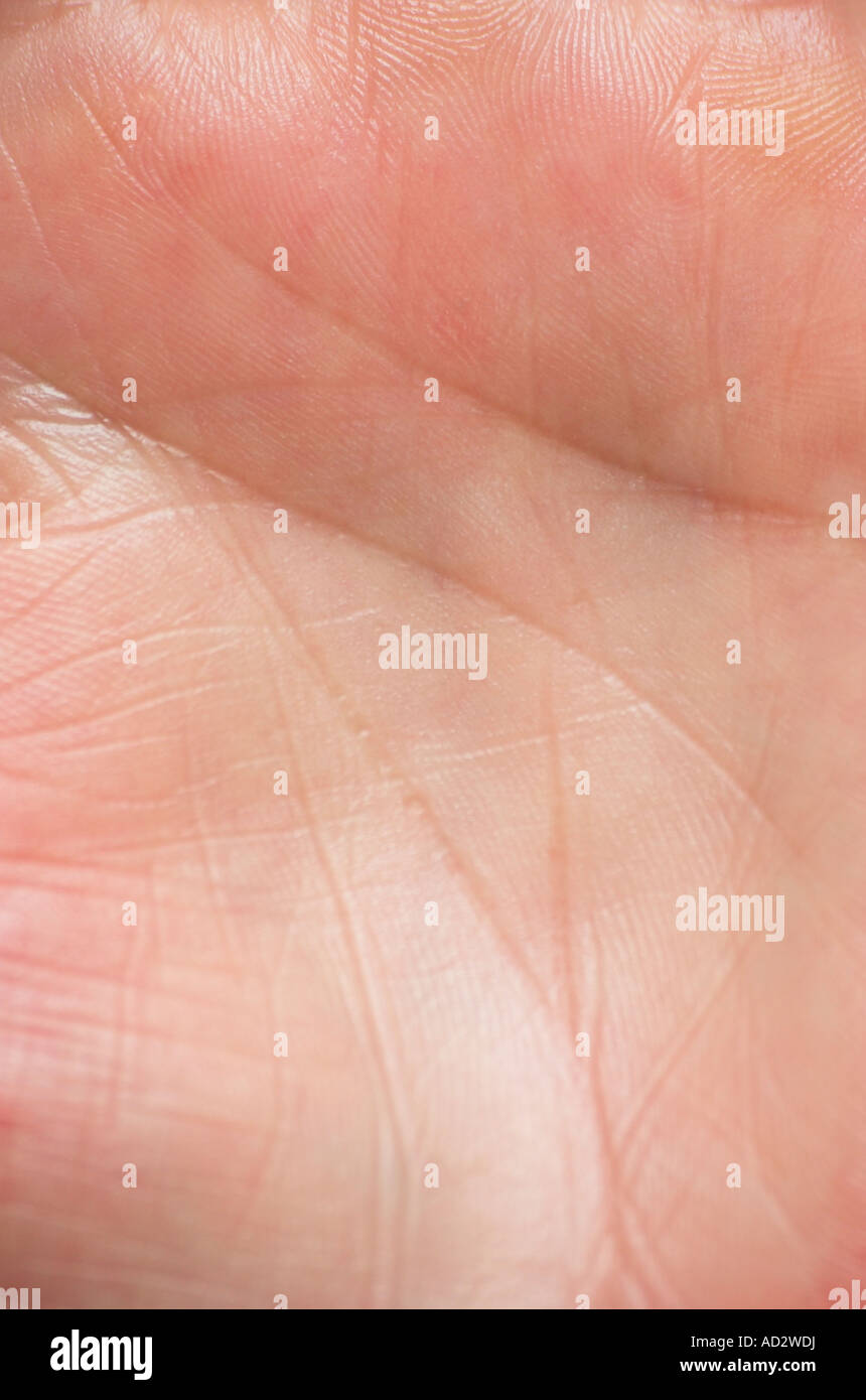 Palm of womans hand close up Stock Photo - Alamy