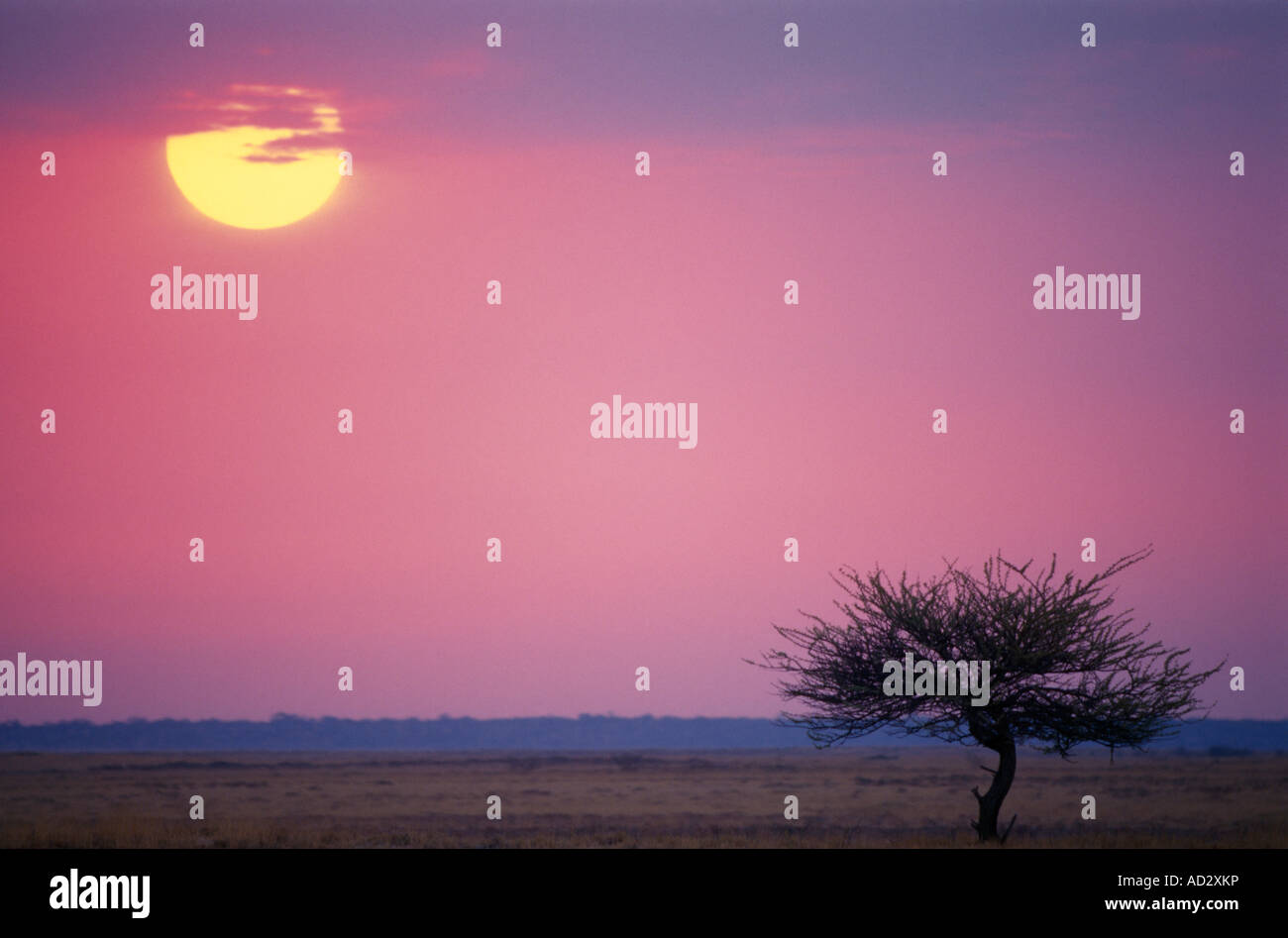 Africa pink sky hi-res stock photography and images - Alamy