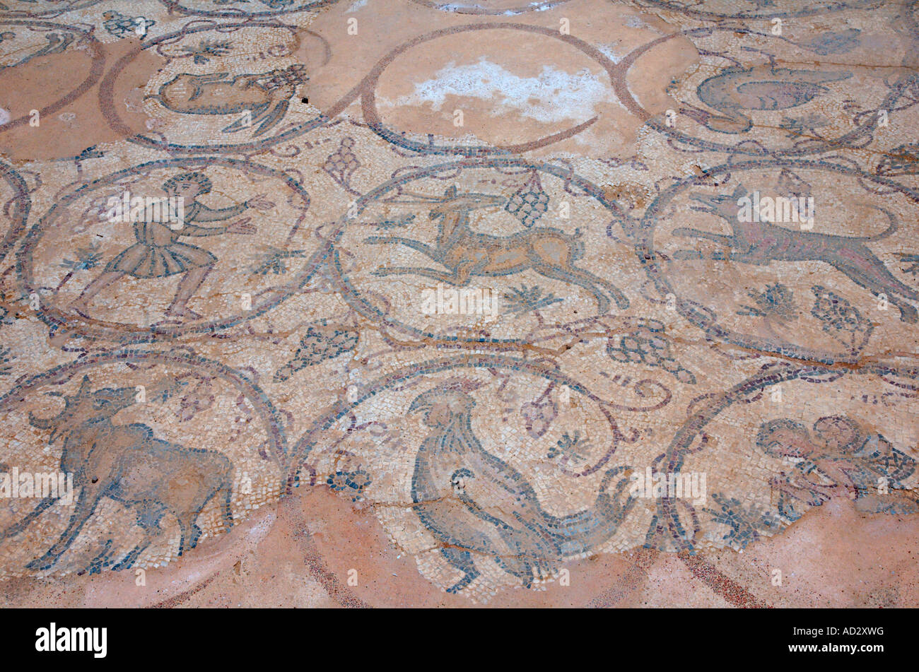 Byzantine mosaic depicting animals and hunting scenes Stock Photo - Alamy