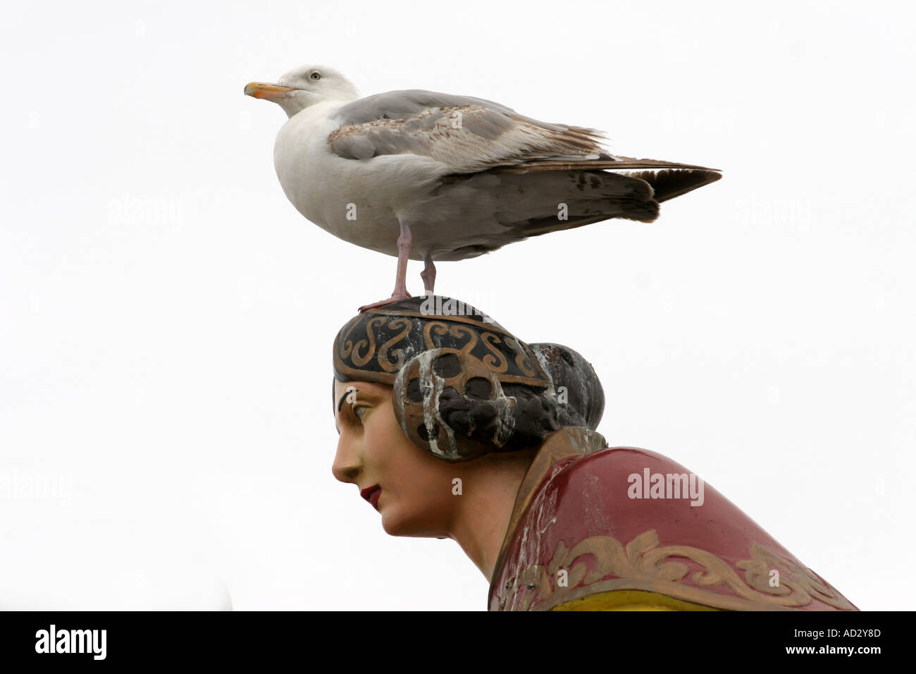 Lady on the horse Cut Out Stock Images & Pictures - Alamy