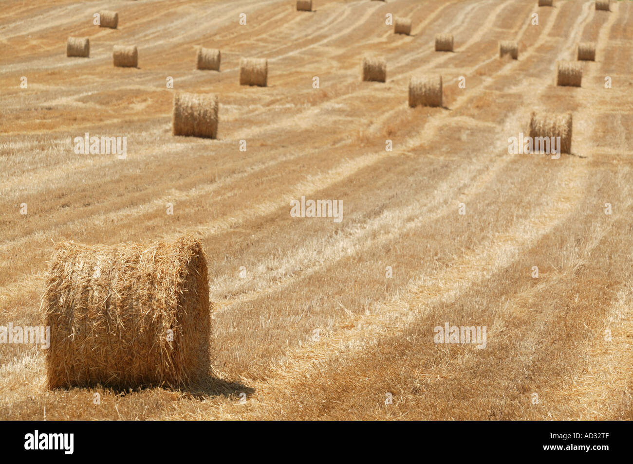 Cereal train hi-res stock photography and images - Alamy