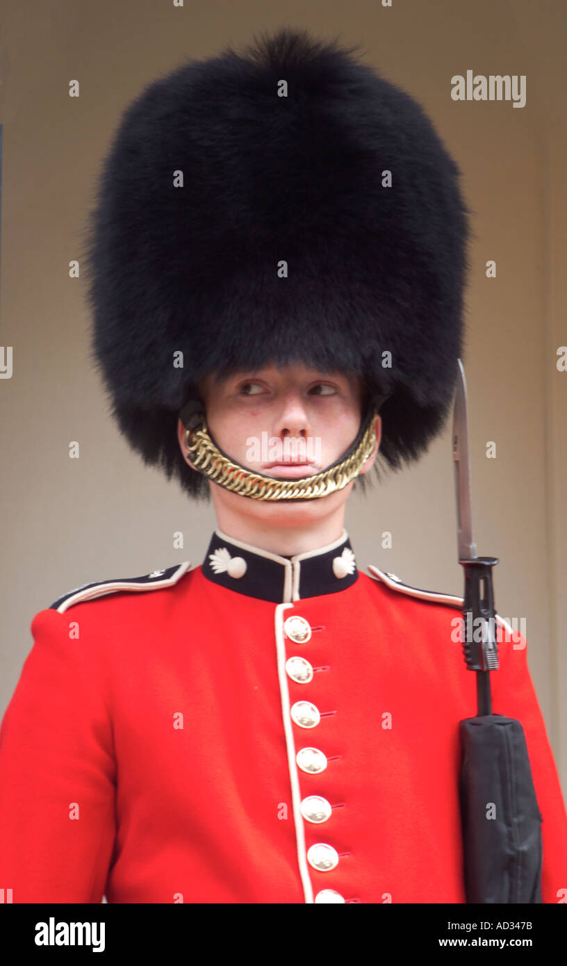 Busby guard traditional hi-res stock photography and images - Alamy
