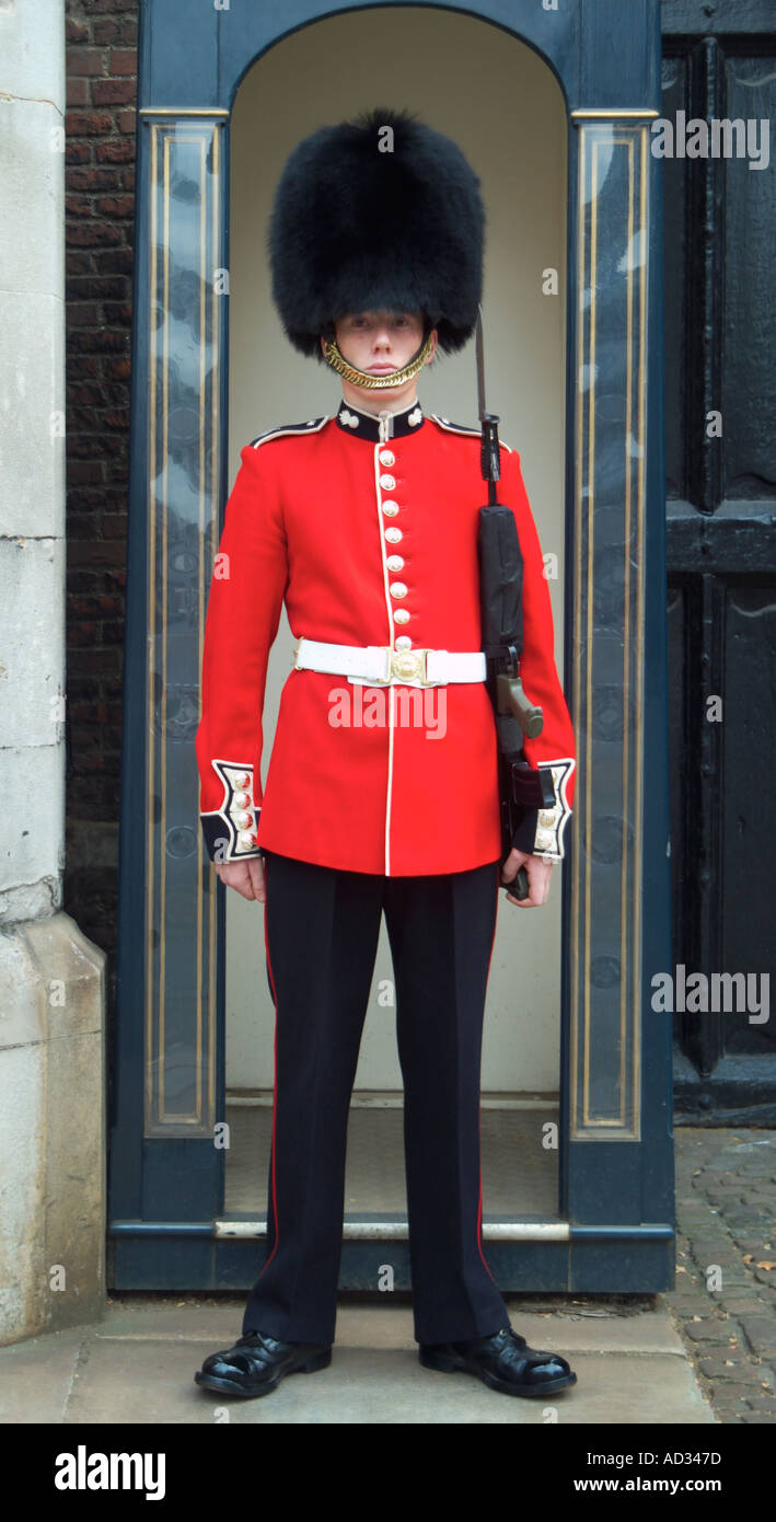 Busby guard traditional hi-res stock photography and images - Alamy