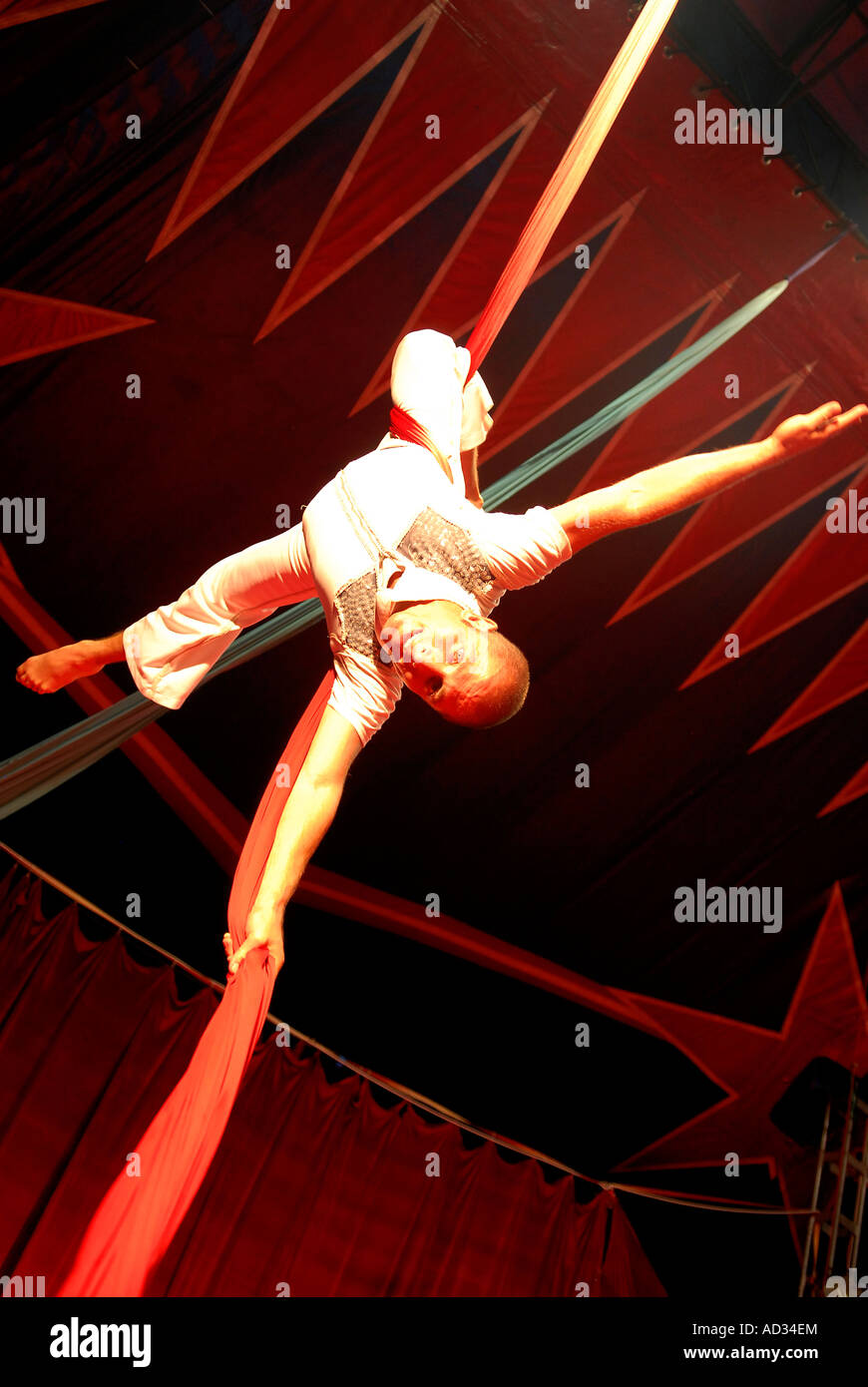 Circus acrobat performer tangled in red drapes Stock Photo - Alamy