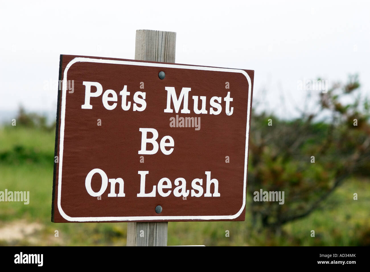 Sign: Pets Must Be On Leash Stock Photo - Alamy