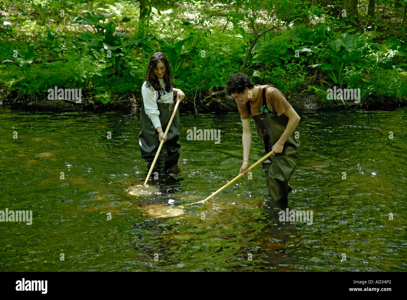 Teenagers high school students using net sampling river water for fish ...