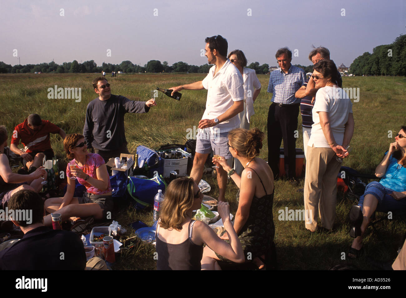 Young middle class adults birthday party al fresco picnic London Sw19 ...