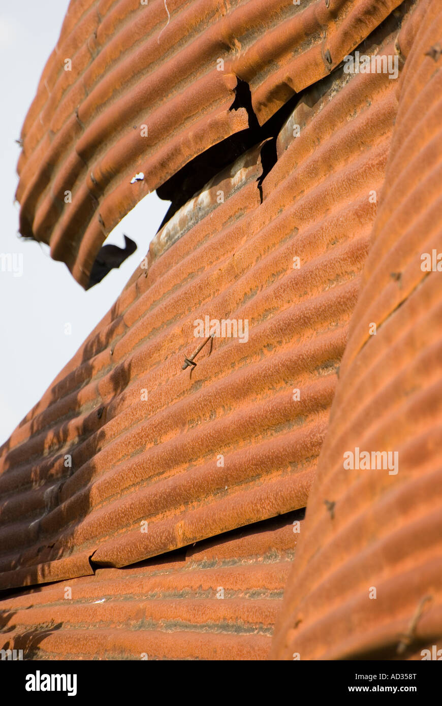 rusty corrugated iron barn roof Stock Photo - Alamy