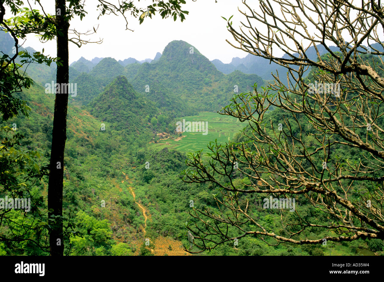 Vietnam near Hanoi scenery Stock Photo - Alamy