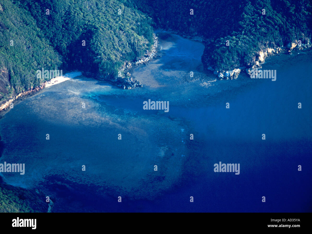 Osprey reef hi-res stock photography and images - Alamy