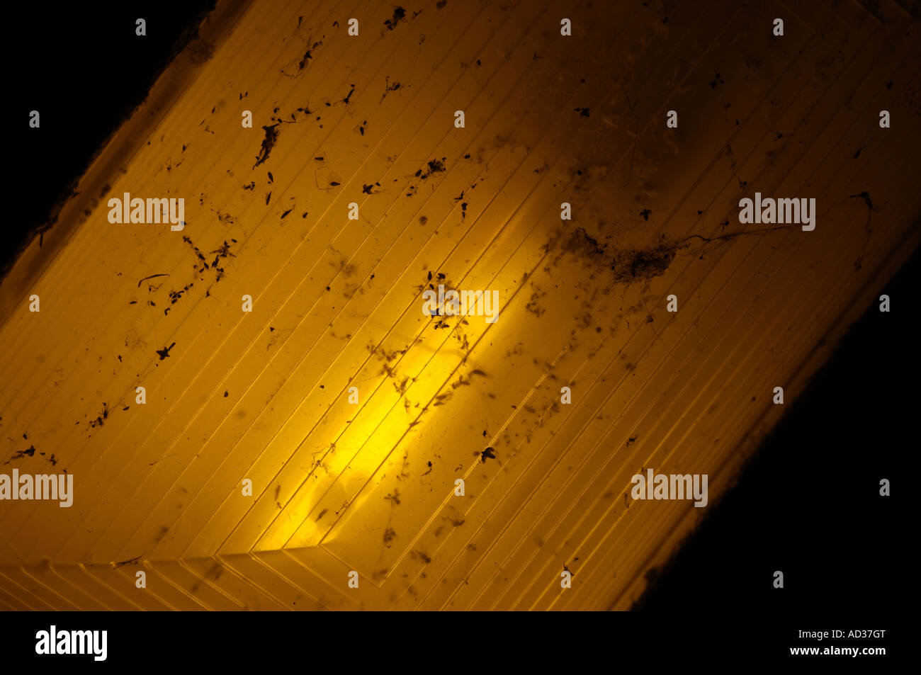 incandescent light dull negative ugly dirty sinister grim grime ...