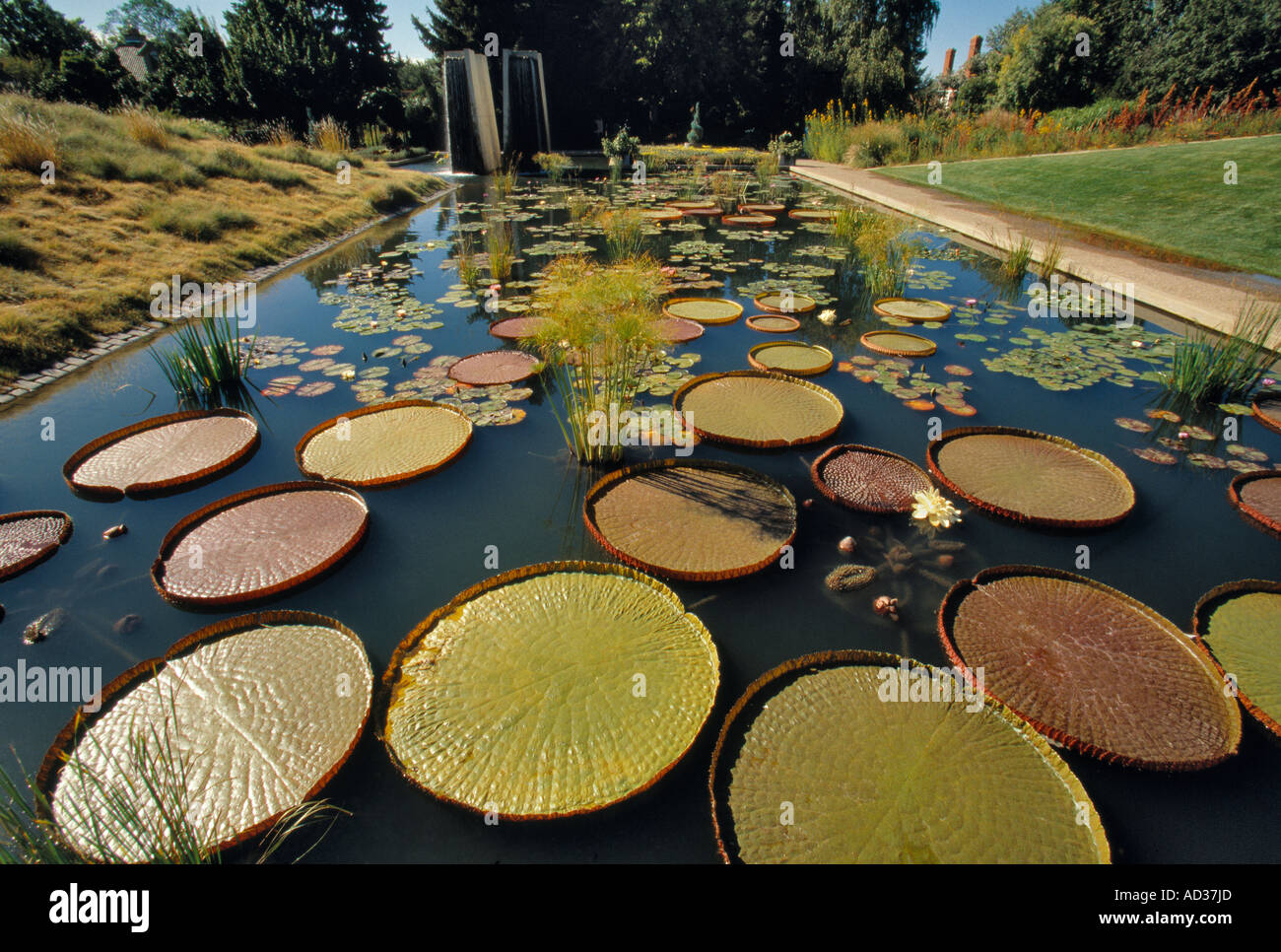Denver botanic garden hi-res stock photography and images - Alamy