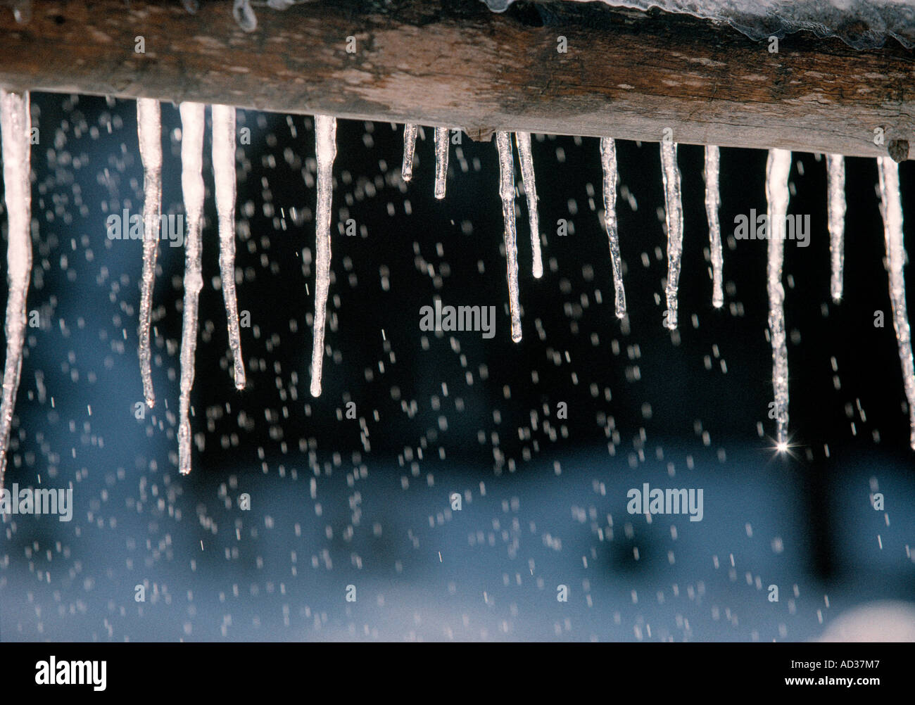 Dripping Icicles