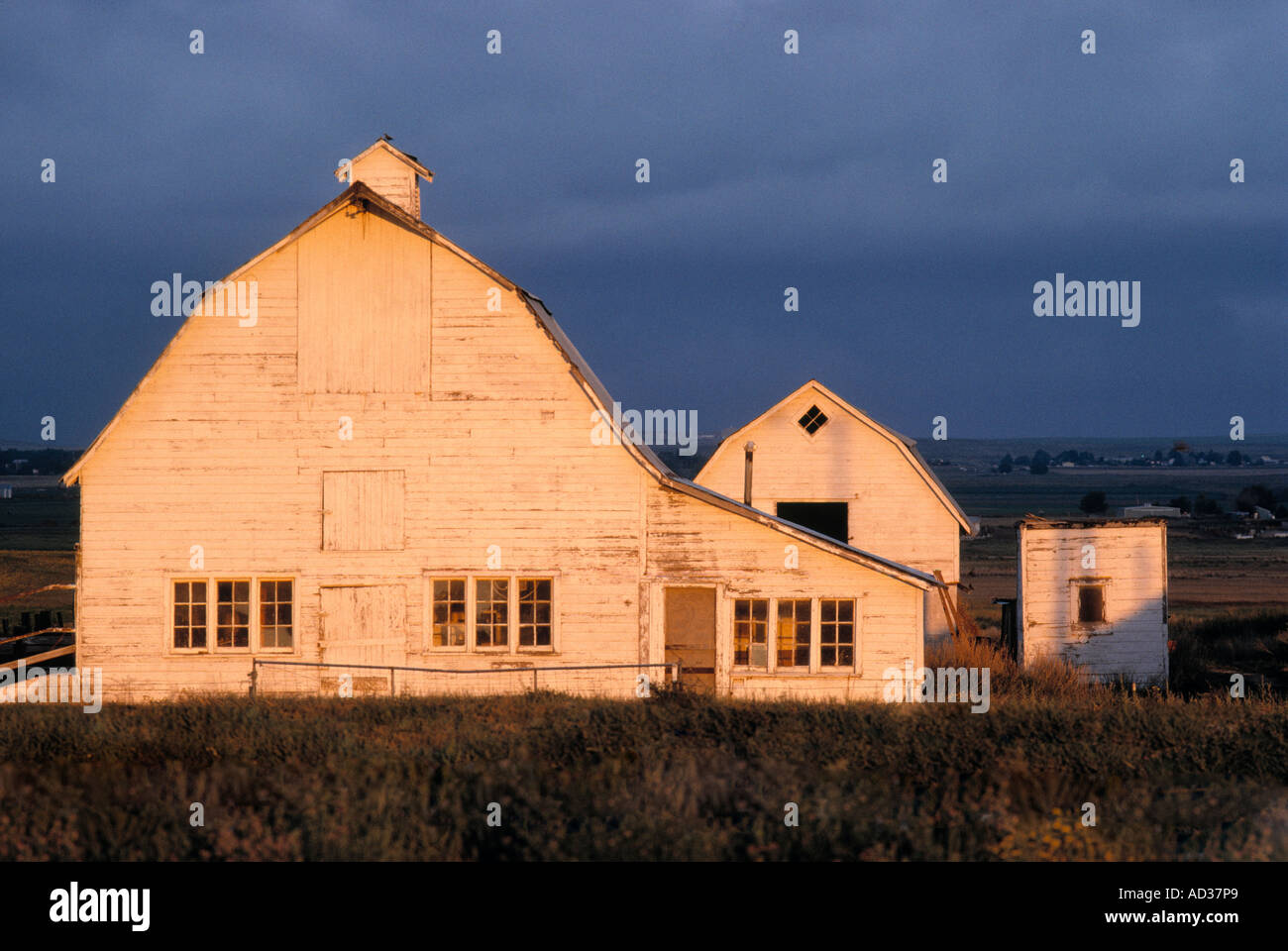 Eastern colorado plains hi-res stock photography and images - Alamy