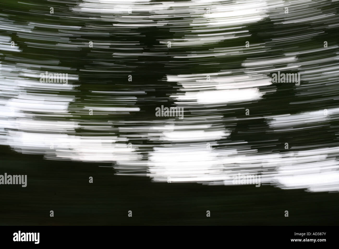 Motion in a nepali forest Stock Photo - Alamy