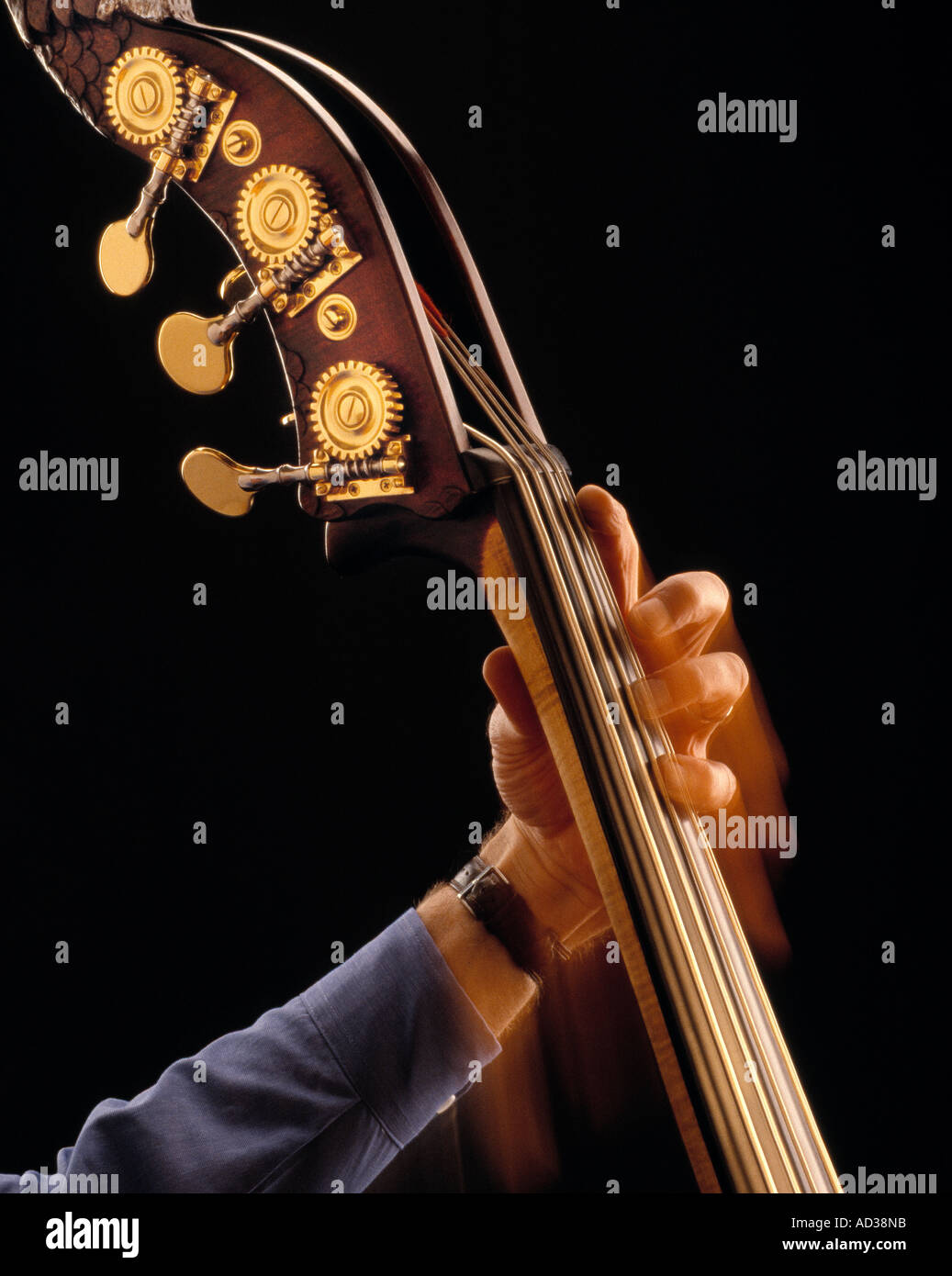 Playing upright bass hi-res stock photography and images - Alamy