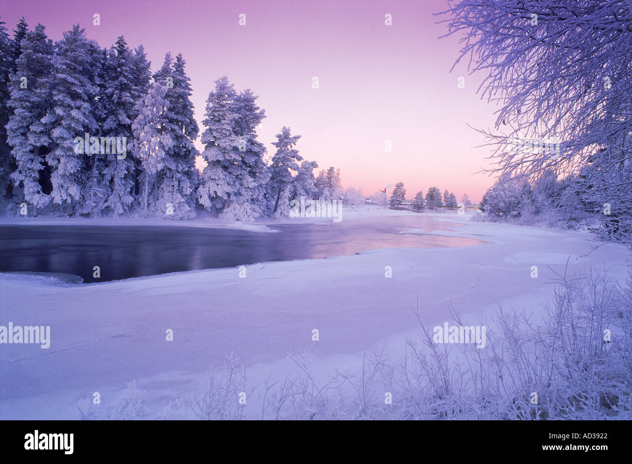 Dal River flowing past frost laden trees in Sweden in low winter light ...