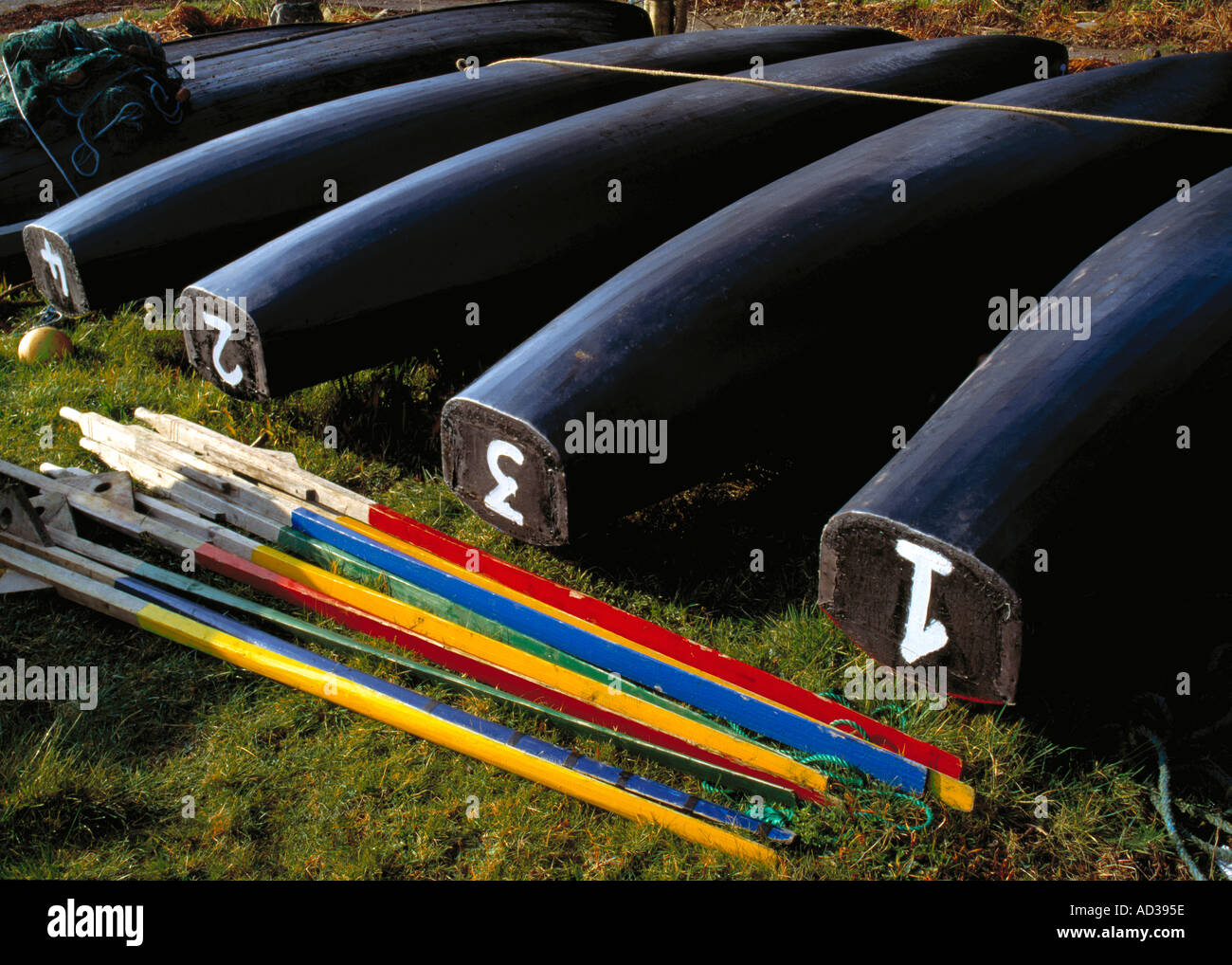 Currach ireland race hi-res stock photography and images - Alamy