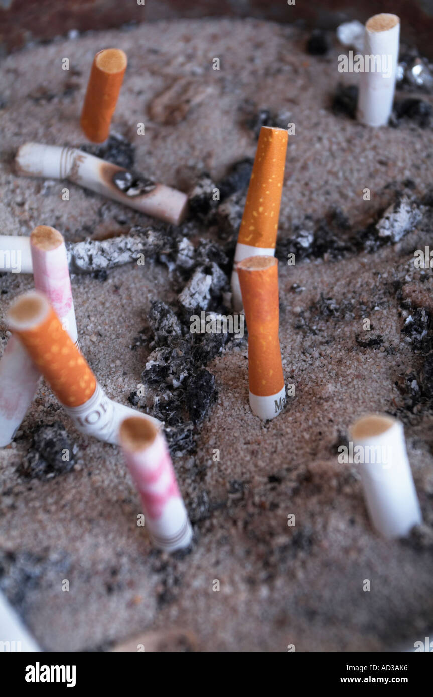 Used, smoked, burnt cigarettes in an ash tray Stock Photo - Alamy