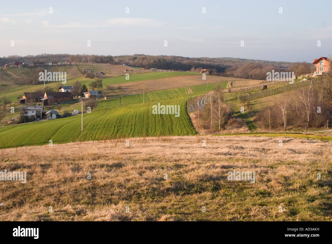 The hills of Prekmurje , Slovenia Stock Photo - Alamy