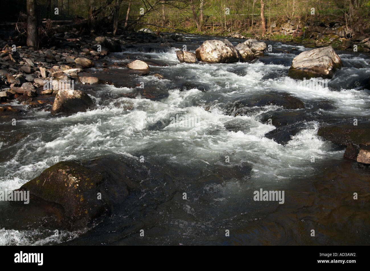 Rushing water and rocks in a mountain river in Smoky Mountains National ...