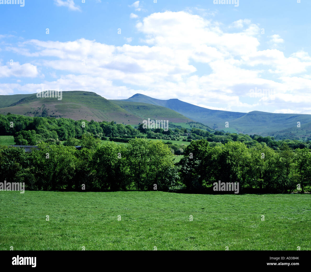 Libanus powys hi-res stock photography and images - Alamy