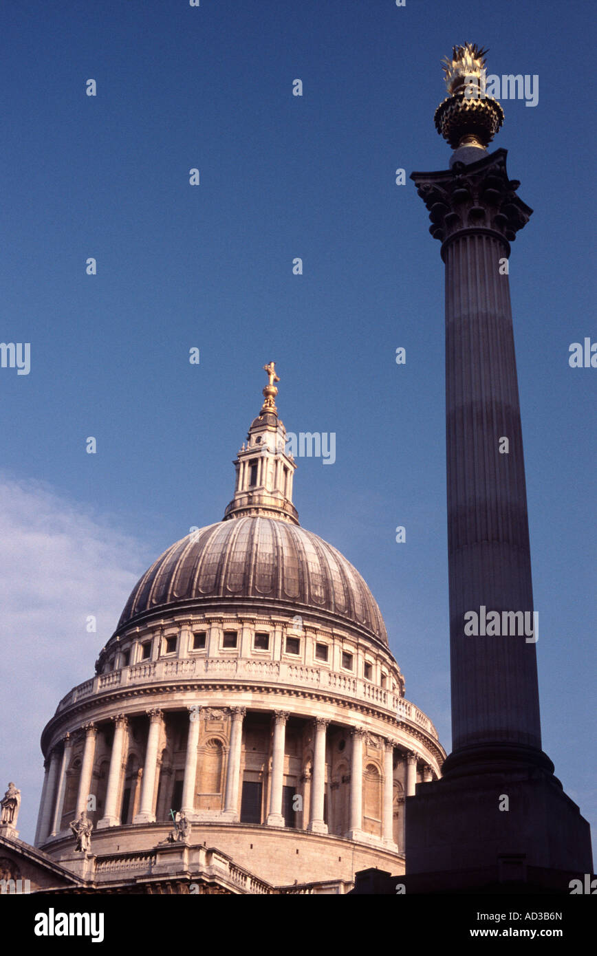 The dome of St Paul's Cathedral and the Paternoster Square Column ...