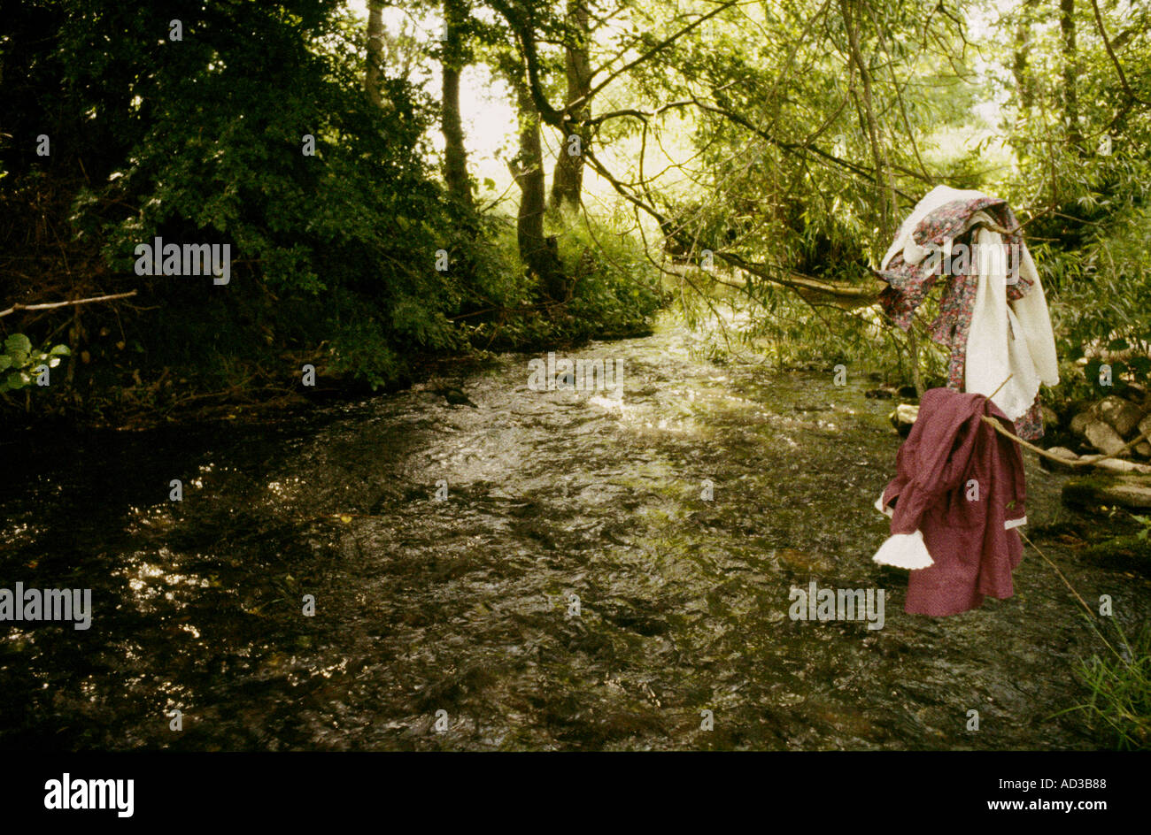 Hanging boughs at river hi-res stock photography and images - Alamy