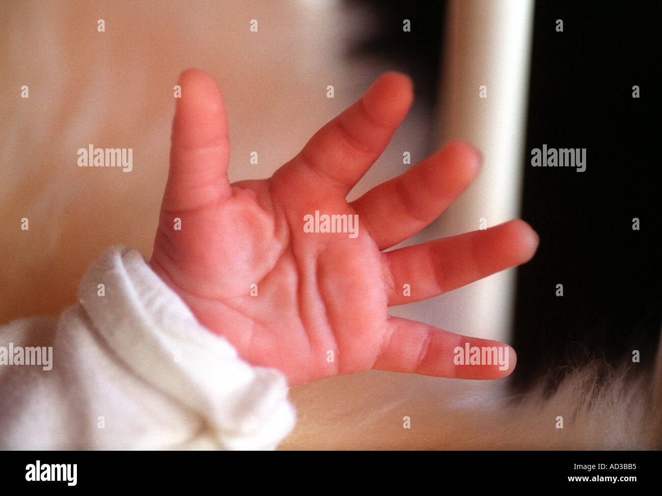 baby small hand Stock Photo - Alamy