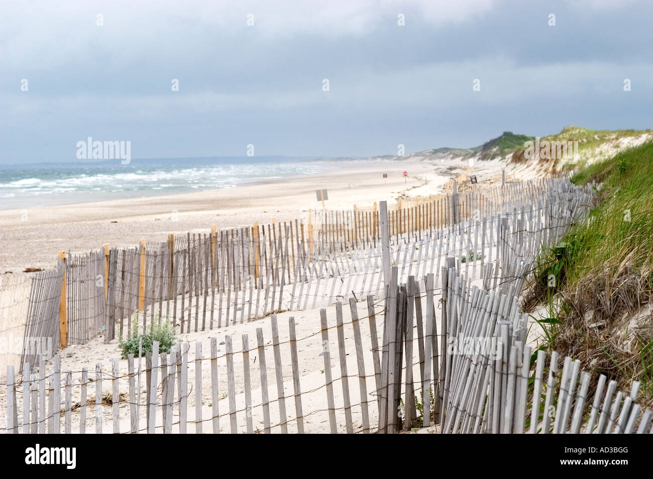 Beach "Sandy Neck" on Cape Cod Stock Photo - Alamy